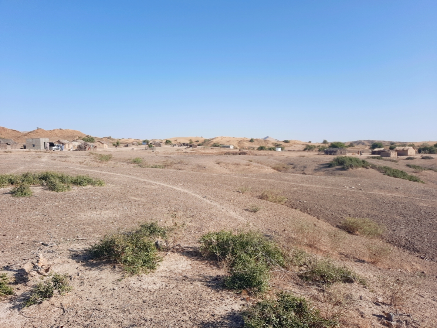 Mining Division – The Ultimate Business Syndicate